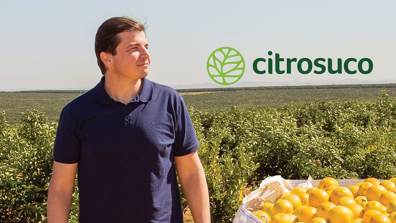 Com inteligência artificial, Citrosuco dribla doença que destrói ...